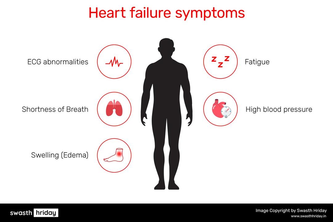 Systolic vs. Diastolic Heart Failure | Understanding the Key Differences