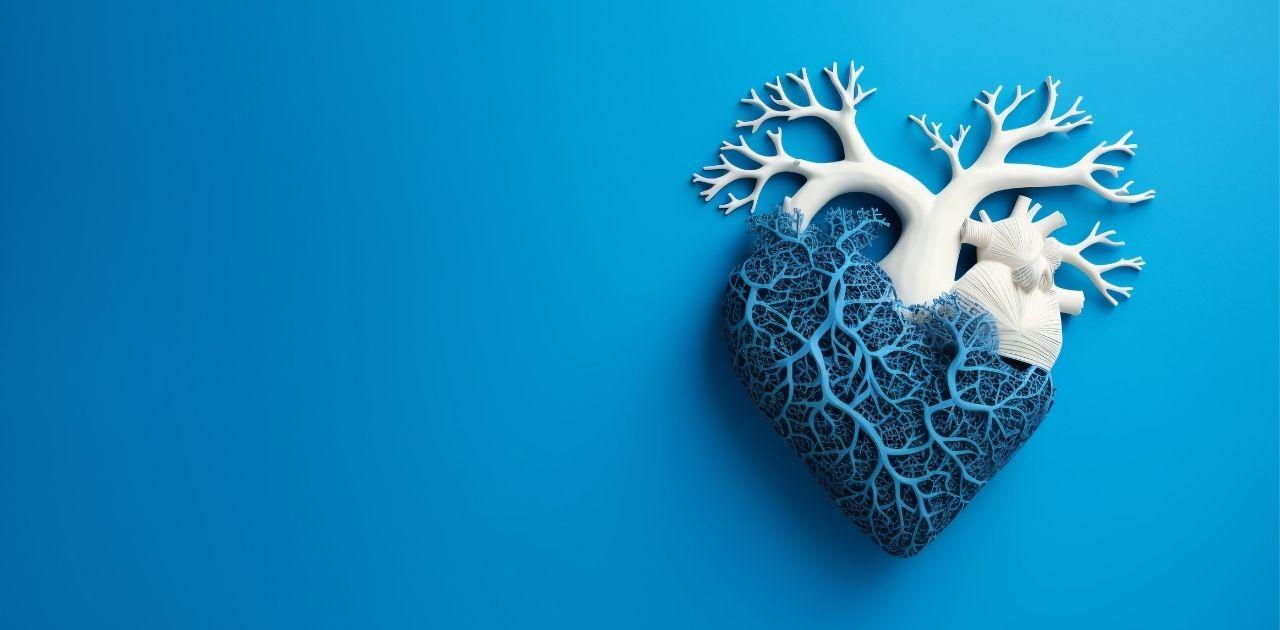 Where is the Heart Located? | Detailed Guide with Diagram